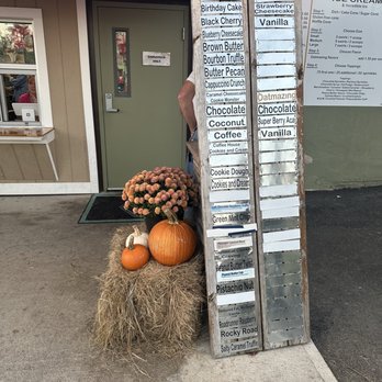 FUNKY BEEZ - Updated December 2025 - 15 Photos & 14 Reviews - 1344 Rte ...