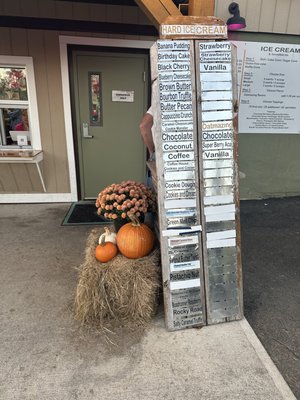 FUNKY BEEZ - Updated June 2024 - 14 Photos - 1344 Rte 26, Vestal, New ...