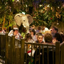 THE RAINFOREST CAFE - Updated June 2025 - 83 Photos & 110 Reviews - 20 ...