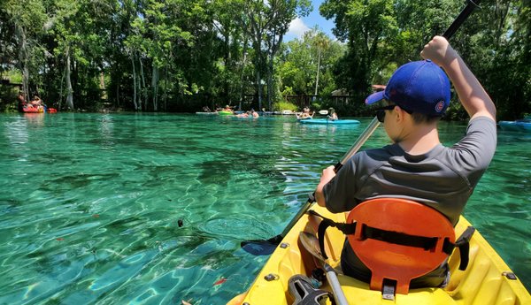 CRYSTAL RIVER KAYAK COMPANY - Updated May 2024 - 231 Photos & 198 ...