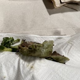 CAVA - Updated December 2025 - 158 Photos & 188 Reviews - 1713 Chestnut ...