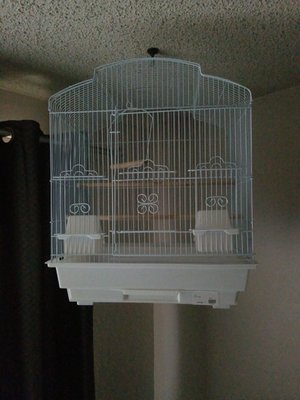 BIRDSMART - 61 Photos & 83 Reviews - 4688 Clairemont Mesa Blvd, San ...