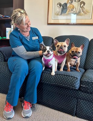 PATTERSON VETERINARY HOSPITAL - Updated December 2025 - 12 Photos & 53 ...