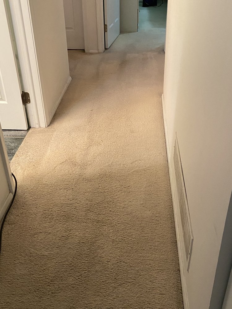 RAY O’SUNSHINE CLEANING SERVICE - Updated July 2025 - 10 Photos ...