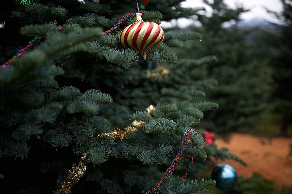 HEMSTROM VALLEY TREE FARM CHRISTMAS TREES - TEMP. CLOSED - Updated ...