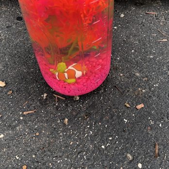 PREUSS PETS - Updated November 2024 - 74 Photos & 79 Reviews - 1127 N ...