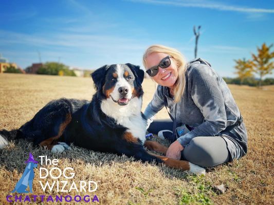THE DOG WIZARD - CHATTANOOGA - Updated October 2025 - 24 Photos - 1853 ...