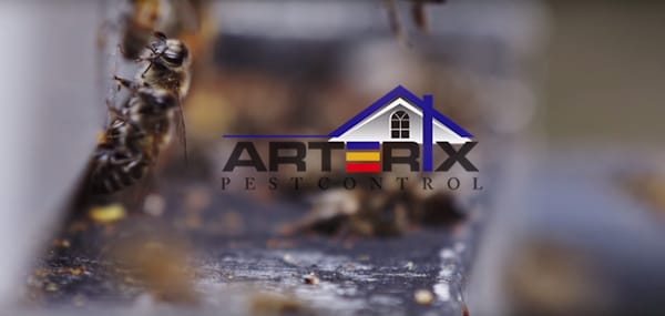 ARTERIX PEST CONTROL - Updated December 2025 - 36 Photos & 223 Reviews ...