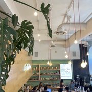 LOCALS ONLY - 416 Photos & 232 Reviews - Breakfast & Brunch - 311 ...