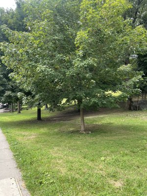 EWEN PARK - Updated October 2025 - 25 Photos - Riverdale And 231st St ...