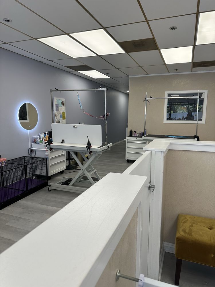 LUXE PUPS - Updated September 2025 - 92 Photos & 54 Reviews - 5420 ...