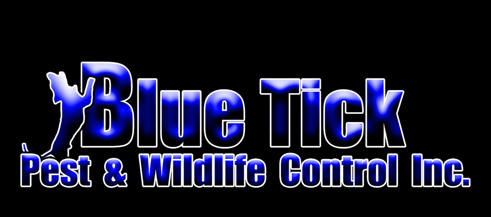 BLUE TICK PEST & WILDLIFE CONTROL - Updated January 2026 - 14 Photos ...