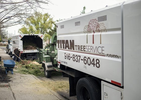 TITAN TREE SERVICE - Updated December 2025 - 27 Photos & 101 Reviews ...