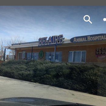BELAIRE ANIMAL HOSPITAL - Updated January 2025 - 14 Photos & 16 Reviews ...