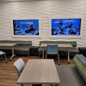 EULESS LIBRARY - Updated December 2025 - 201 N Ector Dr, Euless, Texas ...