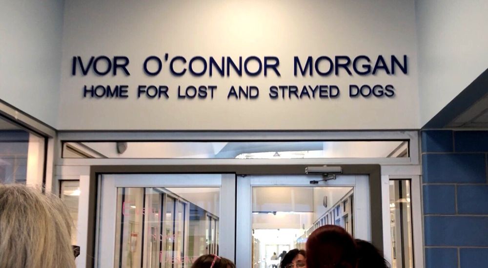 DALLAS ANIMAL SERVICES & ADOPTION CENTER - 82 Photos & 72 Reviews ...