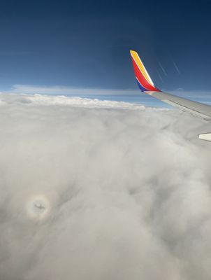 BWJ TRAVEL - Updated January 2026 - 10 Photos & 20 Reviews - 1731 W ...