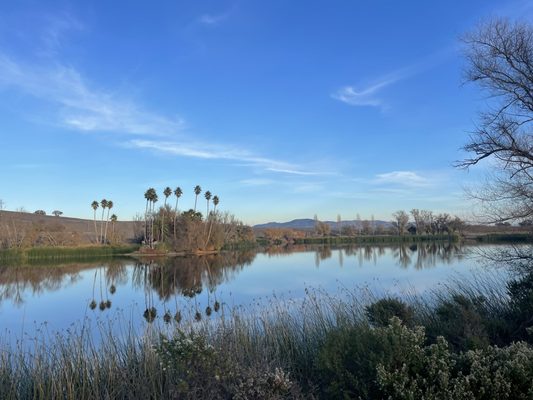 DI ROSA CENTER FOR CONTEMPORARY ART - 274 Photos & 124 Reviews - 5200 ...