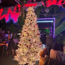 HIGHKEY RAINFOREST ROOFTOP - Updated October 2025 - 377 Photos & 208 ...