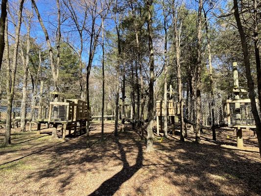 TRINITY FOREST ADVENTURE PARK - 140 Photos & 71 Reviews - 1800 Dowdy ...