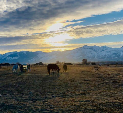 THE WINGS PROGRAMS - 208 Rusty Spur Way, Corvallis, Montana - Community ...