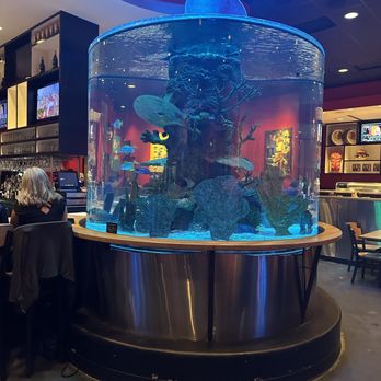 THE COWFISH SUSHI BURGER BAR - Updated June 2024 - 2375 Photos & 1984 ...