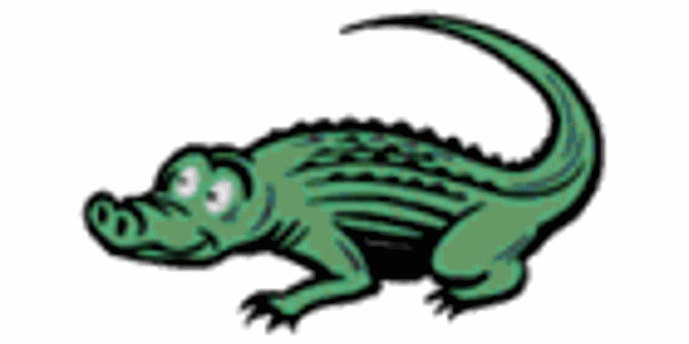 GATOR CUSTOM WINDOWS - Updated January 2026 - 299 Danforth Road ...