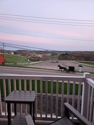 CARLISLE INN - WALNUT CREEK - Updated September 2024 - 24 Photos & 14 ...