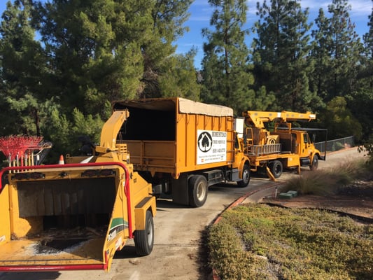 HOMESTEAD TREE SERVICE - Updated August 2025 - 15 Photos & 27 Reviews ...