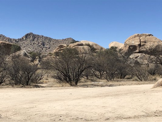 TRIANGLE T RANCH - Updated December 2025 - 51 Photos & 38 Reviews ...