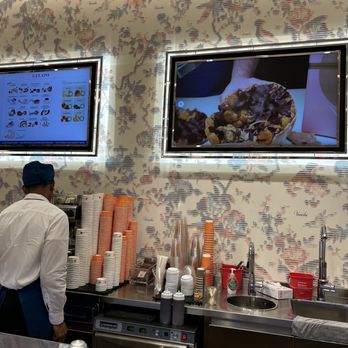 VENCHI - Updated July 2025 - 166 Photos & 28 Reviews - 6000 Glades Rd ...