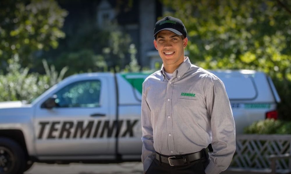 TERMINIX CANADA - Updated December 2025 - 29 Tandem Road, Concord ...