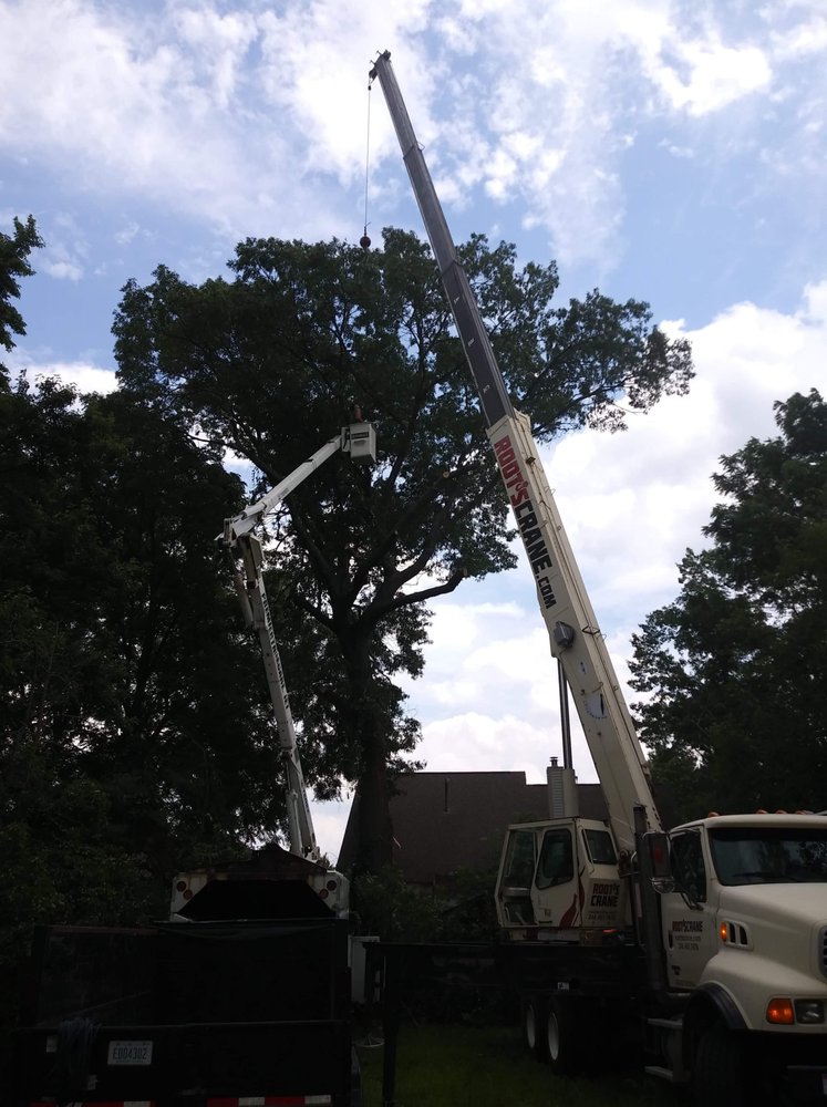 RICE AND COMPANY TREE SERVICE - Updated October 2025 - 28 Photos ...