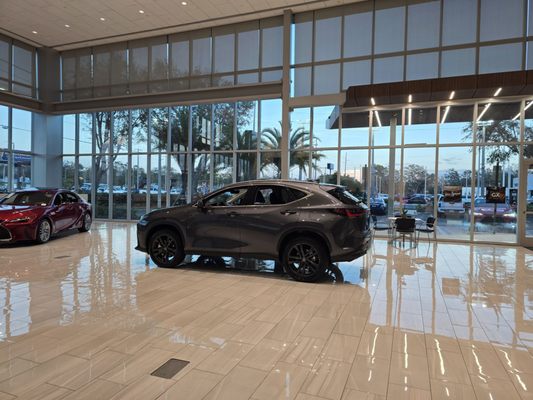 LEXUS OF TAMPA BAY - Updated December 2025 - 100 Photos & 264 Reviews ...