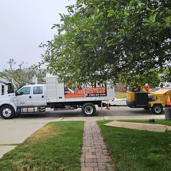 MASTER TREE SERVICES - Updated June 2024 - 211 Photos & 210 Reviews ...