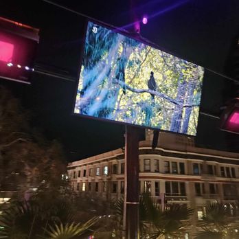 DARLING AVIARY - Updated April 2025 - 870 Photos & 677 Reviews - 712 K ...