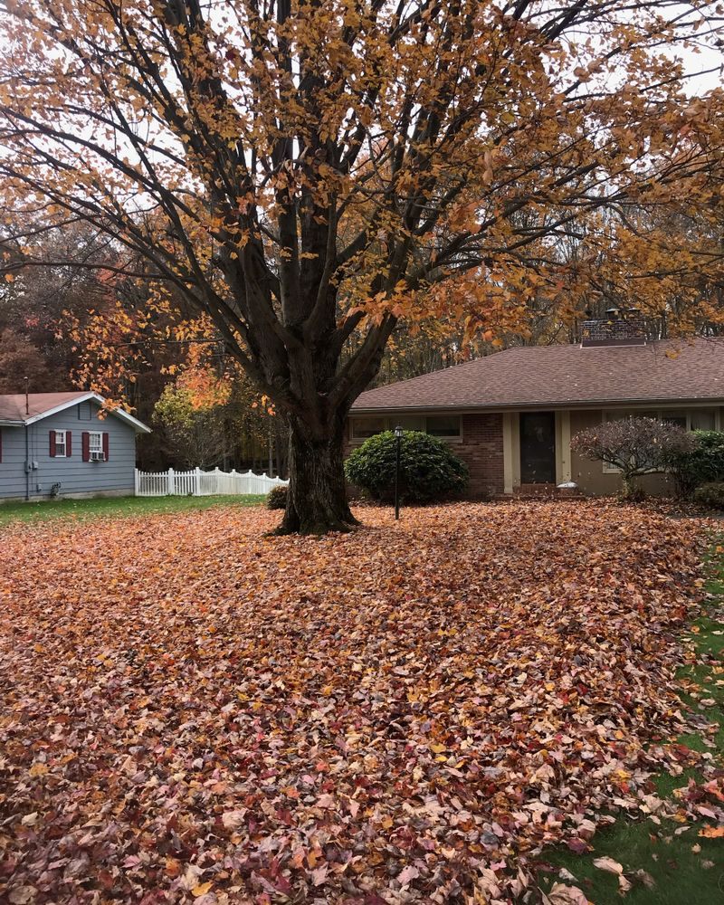 GRAHAM LAWN CARE - Updated July 2025 - 19 Photos - 3635 Sampson Rd ...