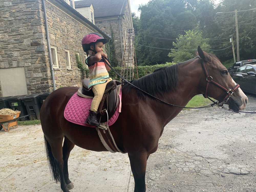 BILL PICKETT RIDING ACADEMY - Updated January 2026 - Philadelphia ...
