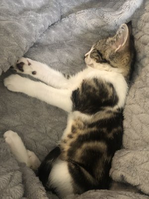 HIGH COUNTRY HUMANE - Updated August 2024 - 21 Photos & 18 Reviews ...