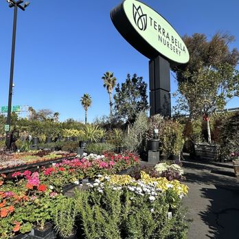 TERRA BELLA NURSERY - Updated February 2025 - 377 Photos & 128 Reviews - 3535 Camino Del Rio W ...