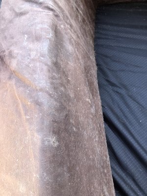 NELLIS AUCTION - Updated September 2025 - 58 Photos & 164 Reviews ...