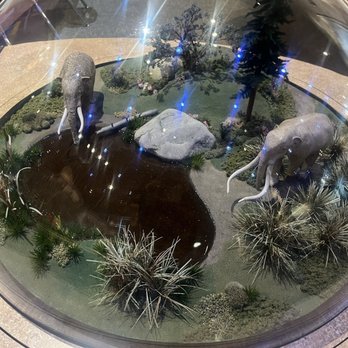 WESTERN SCIENCE CENTER - Updated July 2025 - 252 Photos & 78 Reviews ...