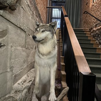 THE SICK STAG - Updated July 2025 - 48 Photos & 22 Reviews - 1219 1st ...