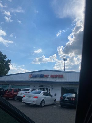 MAYFAIR PET HOSPITAL - Updated May 2025 - 60 Photos & 92 Reviews - 2744 ...