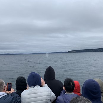 PUGET SOUND EXPRESS - Updated August 2025 - 172 Photos & 220 Reviews ...