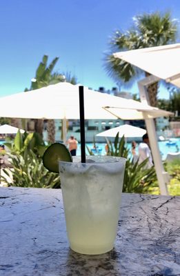 FALLS POOL BAR & GRILL - 75 Photos & 28 Reviews - 8701 World Center Dr ...