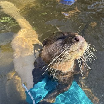 OAK MEADOW RANCH FEATURING THE WHITEHORSE STEAKHOUSE - Updated December ...