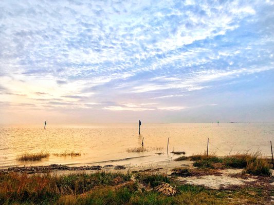 SHELL POINT BEACH - 47 Photos & 14 Reviews - 117 Beaty Taff Dr ...