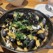 MUSSEL BAR & GRILLE - ARLINGTON - 662 Photos & 690 Reviews - 800 N ...