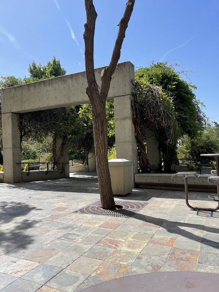 WALTER W STIERN LIBRARY - Updated December 2025 - 23 Photos - Cal State ...